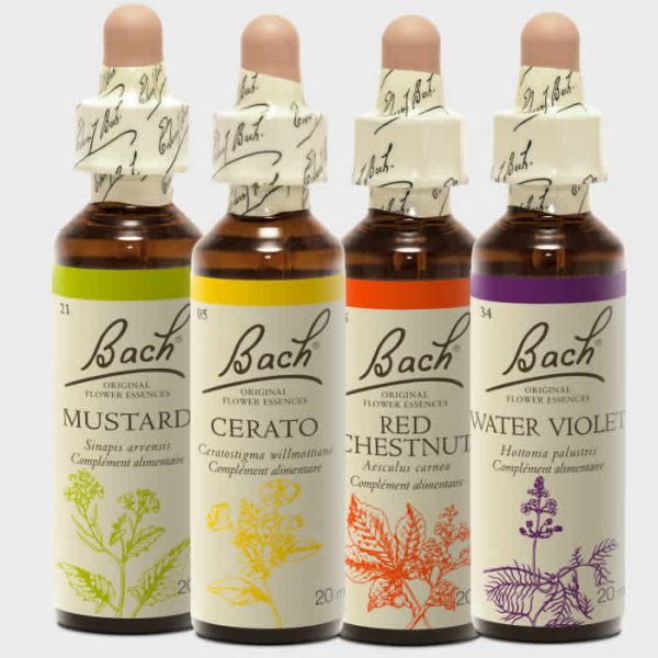 Fleurs de Bach Questionnaire Gratuit | Essences Florales