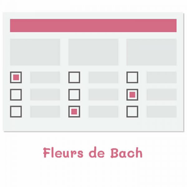 Le Meilleur Questionnaire Fleurs de Bach | Essences Florales